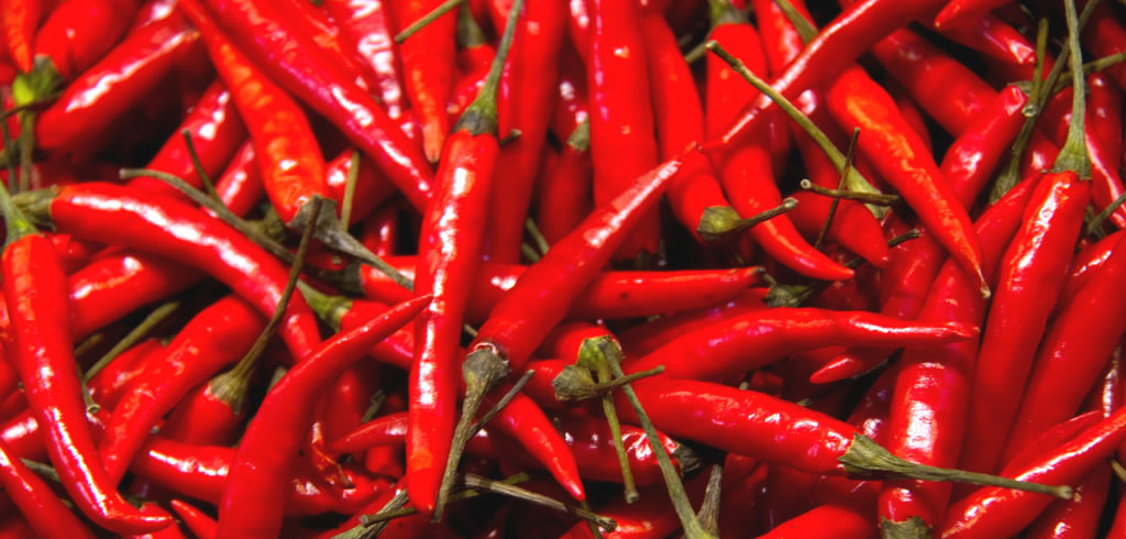 The quest for the world's hottest chilli | Descrier News